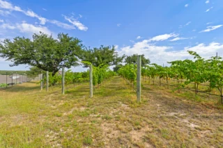 Provence Austin - A Master Planned Community in Bee Cave, TX